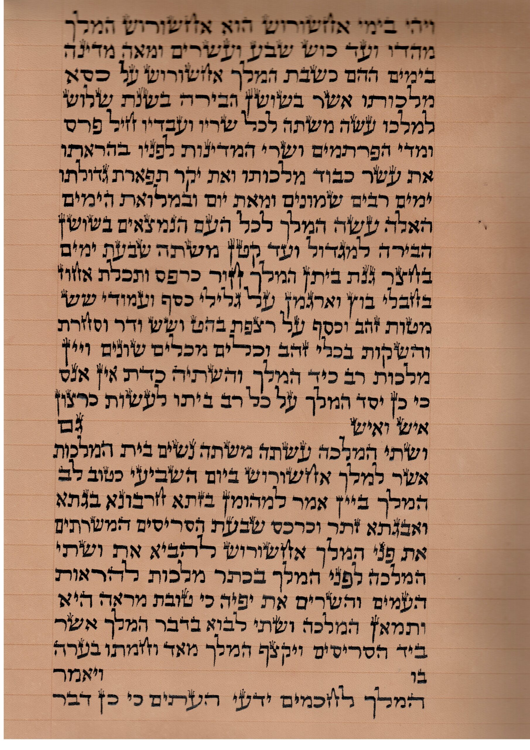 Megillat Esther on Gvil - Milknhoney Judaica